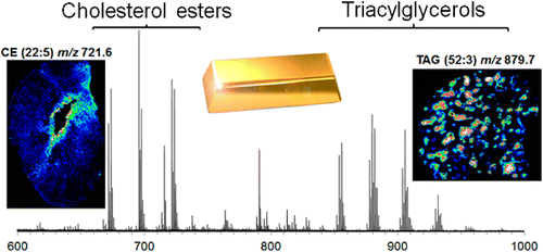 Sodium-Doped Gold-Assisted Laser Desorption Ionization for Enhanced Imaging Mass Spectrometry of ...