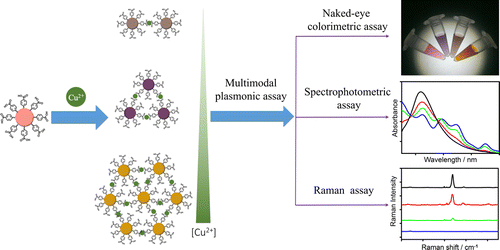 通过银分子纳米粒子的刺激响应态转化对铜（II）离子进行多峰等离子体检测。,Analytical Chemistry - X-MOL