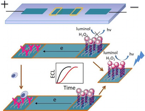 Temporal Sensing Platform Based on Bipolar Electrode for the Ultrasensitive Detection of Cancer ...