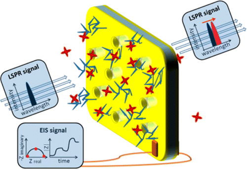 Simultaneous Electrochemical Impedance Spectroscopy and Localized ...