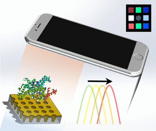 Self-Referenced Smartphone-Based Nanoplasmonic Imaging Platform for ...