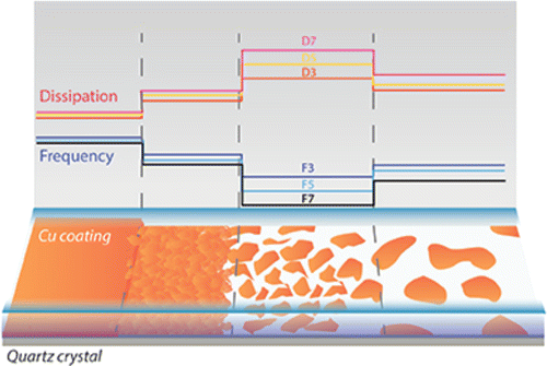 Electrochemical Quartz Crystal Microbalance with Dissipation Real-Time ...
