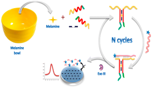 Homogeneous Electrochemical Biosensor for Melamine Based on DNA Triplex ...