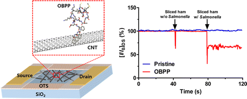 Bioelectronic Nose Using Odorant Binding Protein-Derived Peptide and ...
