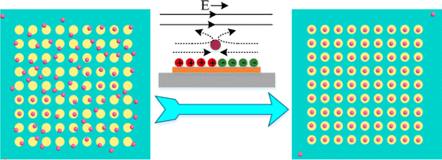 Large-Scale Single Particle and Cell Trapping based on Rotating ...