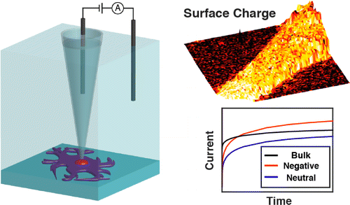 Fast Nanoscale Surface Charge Mapping with Pulsed-Potential Scanning Ion Conductance Microscopy ...