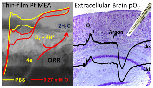Ceramic-Based Multisite Platinum Microelectrode Arrays: Morphological ...