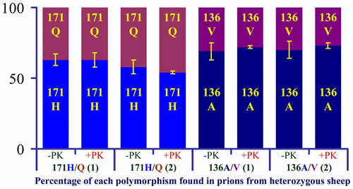 Quantitating PrP Polymorphisms Present in Prions from Heterozygous ...