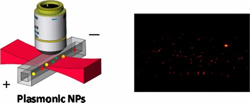Direct Imaging of Single Plasmonic Metal Nanoparticles in Capillary ...