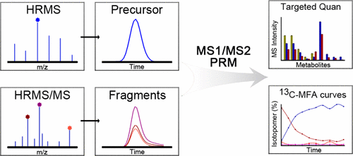 将MS1和MS2扫描集成在高分辨率的平行反应监测分析中，以进行目标代谢物定量和动态 13 C标签代谢分析,Analytical Chemistry - X-MOL