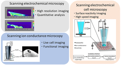 Scanning Probe Microscopy for Nanoscale Electrochemical Imaging ...