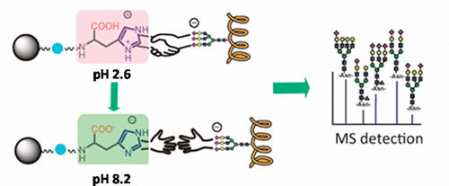 In-Depth Analysis of Glycoprotein Sialylation in Serum Using a Dual ...