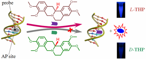 DNA Duplex Engineering for Enantioselective Fluorescent Sensor ...