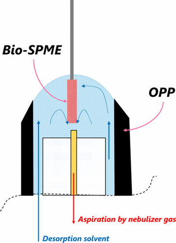 开放端口探针采样接口，用于生物相容性固相微萃取与大气电离质谱的直接耦合,Analytical Chemistry - X-MOL