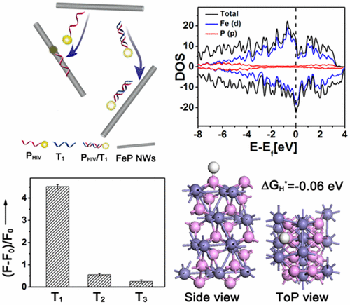 Topotactic Conversion of α-Fe2O3 Nanowires into FeP as a Superior ...