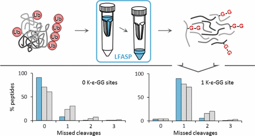 Large-Scale Filter-Aided Sample Preparation Method for the Analysis of ...