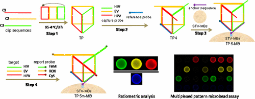 Design of a Modular DNA Triangular-Prism Sensor Enabling Ratiometric ...