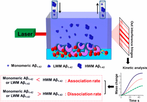 Real-Time Analysis of Binding Events between Different Aβ1–42 Species ...