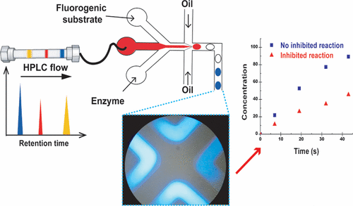 Detection of Enzyme Inhibitors in Crude Natural Extracts Using Droplet ...