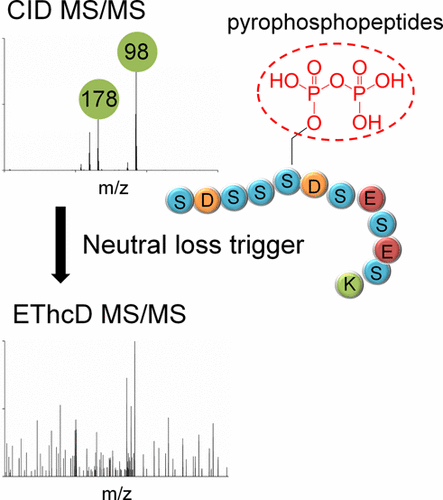 Unambiguous Identification of Serine and Threonine Pyrophosphorylation ...