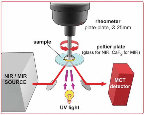 Real Time-NIR/MIR-Photorheology: A Versatile Tool for the in Situ ...