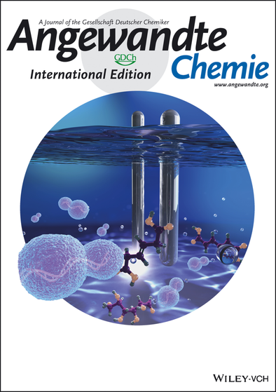封面图片,Angewandte Chemie International Edition - X-MOL