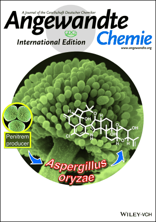 封面图片,Angewandte Chemie International Edition - X-MOL