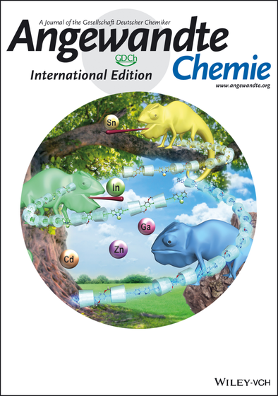 封面图片,Angewandte Chemie International Edition - X-MOL