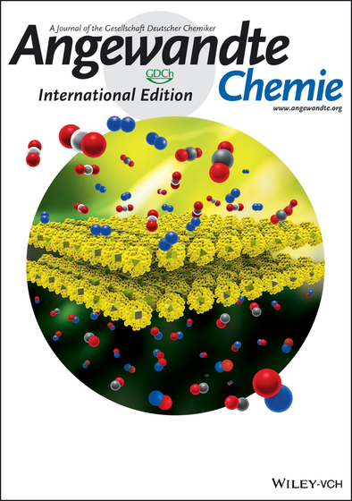 封面图片,Angewandte Chemie International Edition - X-MOL