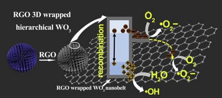 Reduced graphene oxide three-dimensionally wrapped WO3 hierarchical ...