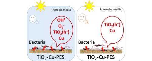 Insight on the photocatalytic bacterial inactivation by co-sputtered ...