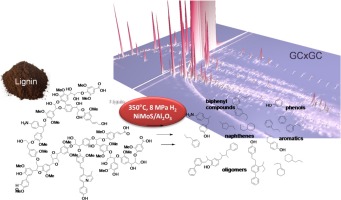 Lignin hydroconversion on MoS2-based supported catalyst: Comprehensive ...