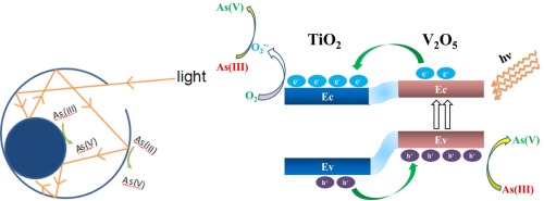 具有增强的可见光驱动光功能的V2O5 / TiO2纳米复合材料的形态工程学，用于去除砷,Applied Catalysis B ...
