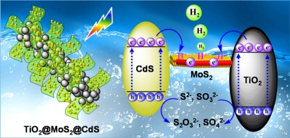 在分层“茎叶”纳米结构上全方位增强光催化氢的逸出,Applied Catalysis B: Environment and Energy ...