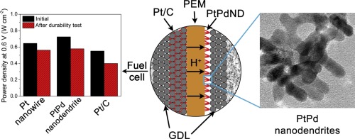 Three-dimensional catalyst electrodes based on PtPd nanodendrites for ...