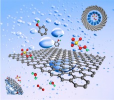 Occurrence of radical and nonradical pathways from carbocatalysts for aqueous and nonaqueous ...