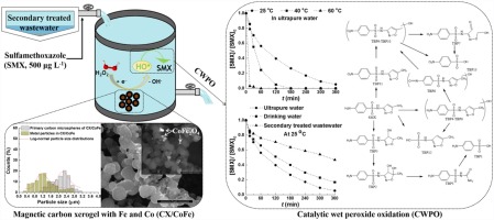 Magnetic carbon xerogels for the catalytic wet peroxide oxidation of ...