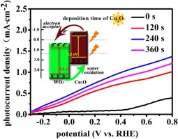 Highly efficient photocatalyst based on all oxides WO3/Cu2O ...