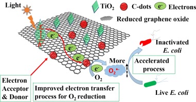 Highly dispersed TiO2 nanocrystals and carbon dots on reduced graphene oxide: Ternary ...