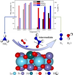 Efficiency of Cu and Pd substitution in Fe-based perovskites to promote ...