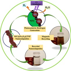 纳米原纤化纤维素/磁铁矿/二氧化钛（NFC @ Fe3O4 @ TNP）纳米复合材料的合成及其在光催化制氢中的应用,Applied Catalysis B: Environment and ...