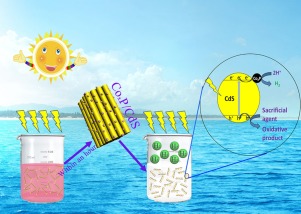 Photochemical synthesis of CoxP as cocatalyst for boosting ...