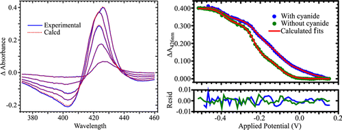 Correlations between the Electronic Properties of Shewanella oneidensis ...