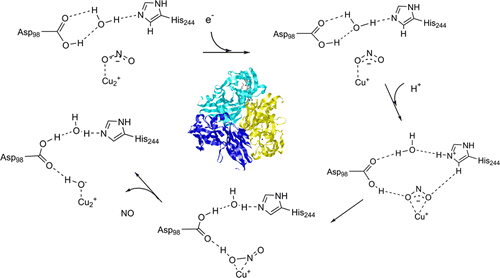 DFT Study on Nitrite Reduction Mechanism in Copper-Containing Nitrite ...