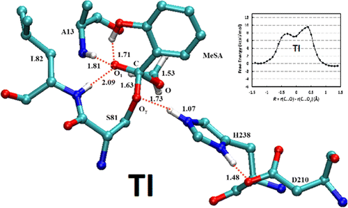 Substrate-Assisted Catalysis in the Reaction Catalyzed by Salicylic ...