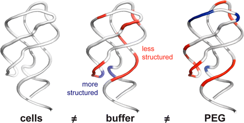 模仿细胞环境对PEG诱导的大分子拥挤对RNA结构的影响的挑战,Biochemistry - X-MOL