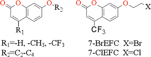 Coumarin Derivatives as Substrate Probes of Mammalian Cytochromes P450 ...