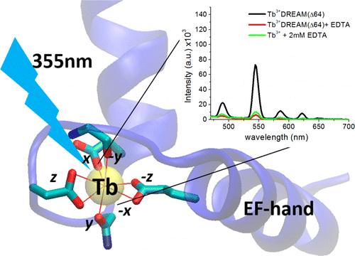 Characterization of the Photophysical, Thermodynamic, and Structural ...