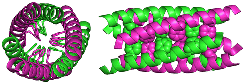 X-ray Crystallographic Structure and Solution Behavior of an ...