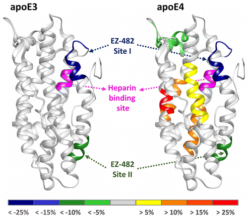 ApoE：小分子效应子的体外研究,Biochemistry - X-MOL